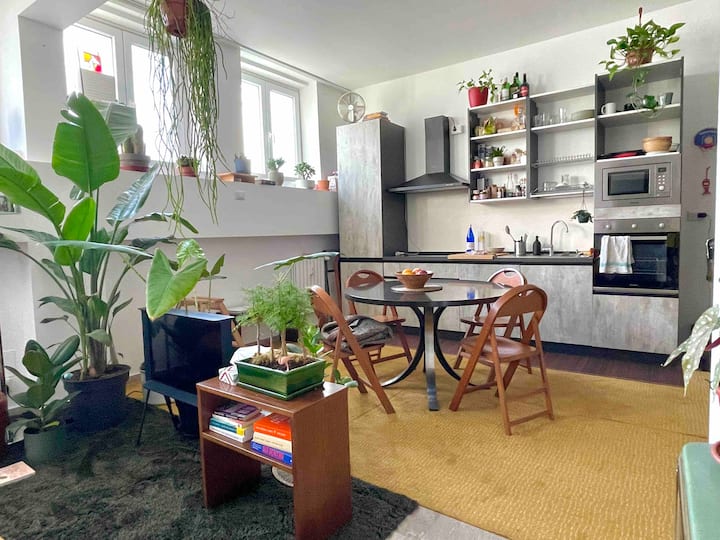 Nice 1 Bedroom Studio/basement - Mailand