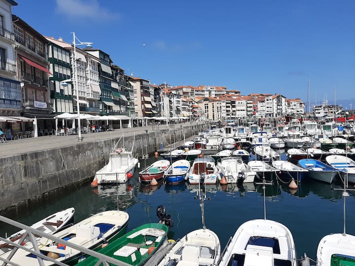 Coqueto Apartamento A 20 Metros Del Puerto. - Lekeitio