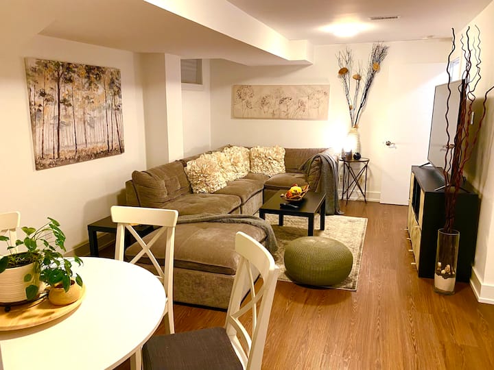 Lavish Basement Bliss - Toronto