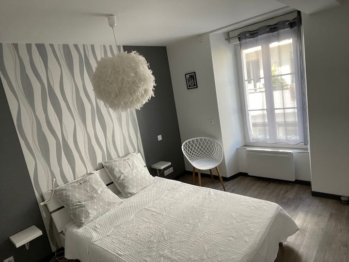 Appartement Entier Cosy Au Cœur Des 3 Vallées - Argelès-Gazost