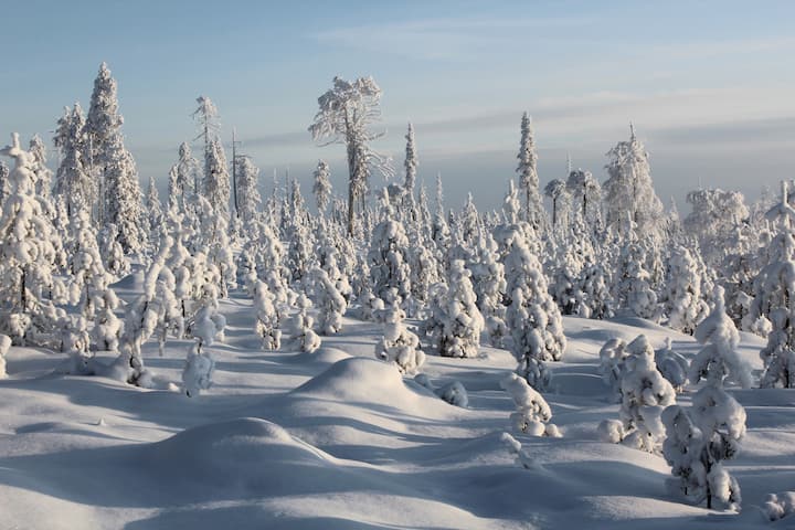 Kirmoitalo : Apartment-1 In Salla, Lapland - Salla