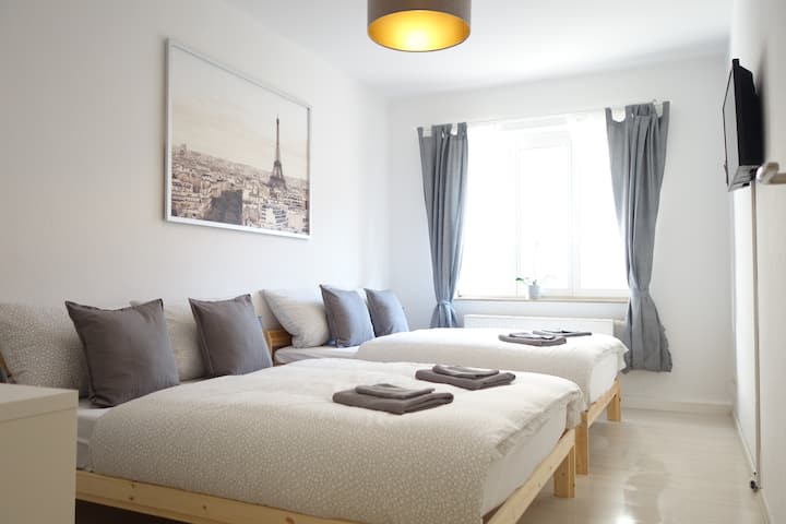 Cosy Apt. W/ Spacious Kitchen&netflix In Neustadt - Dresden