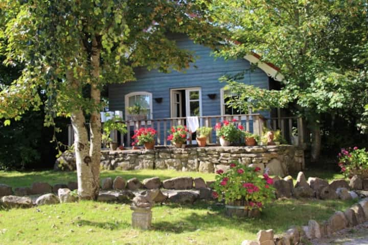 Birds And Bees Lodge - Loughrea