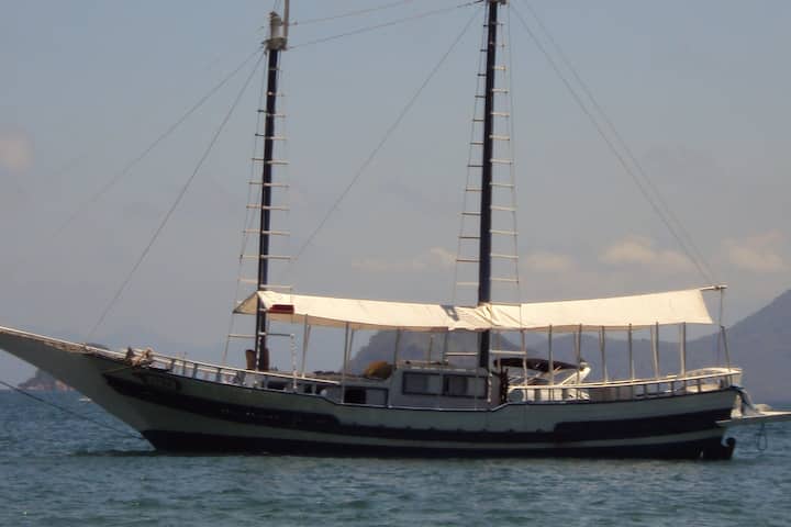 Yes! What A Wonderful Ubatuba! - Ubatuba
