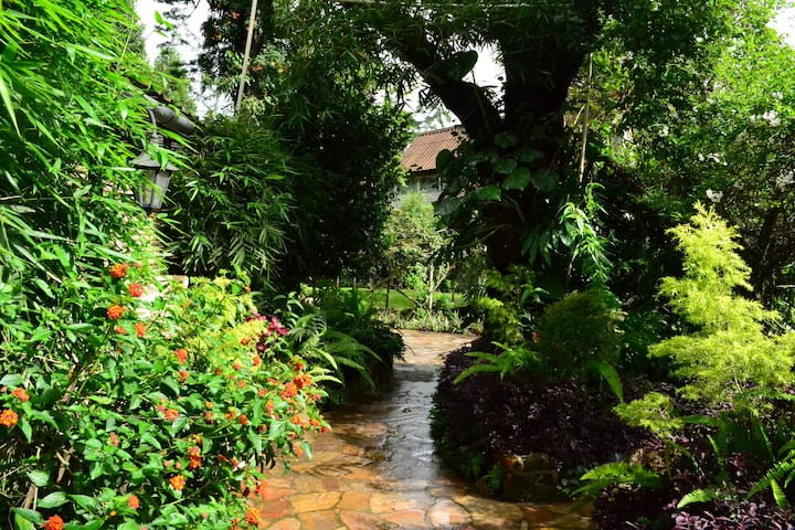 Aerodene - The Family Suite - Shillong