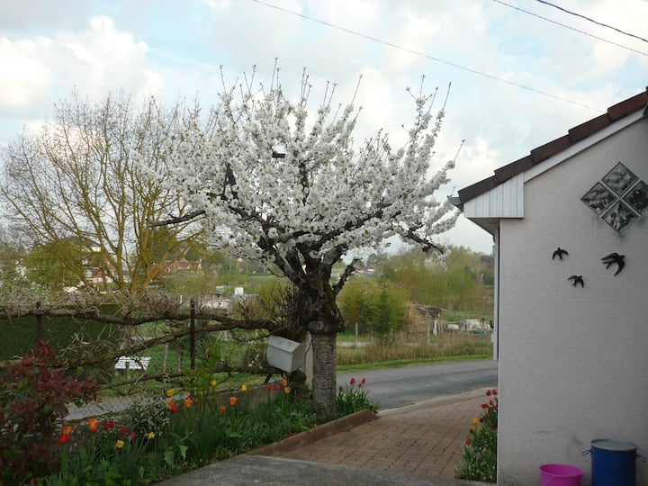 Loue Chambre à 55 Euros/nuit+ Déjeuner+parking - Selles-sur-Cher