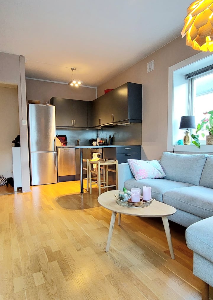 Koselig Leilighet, Sentralt Og Rolig - Oslo