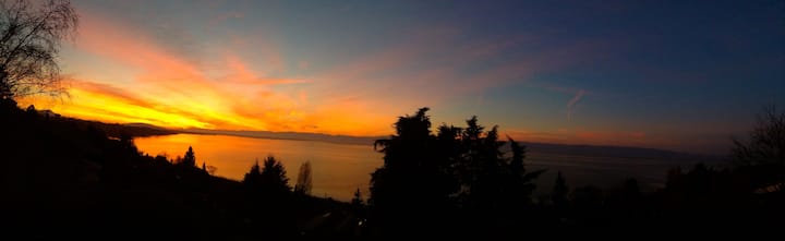 Villa Avec Vue Sur Lac Léman - Thonon-les-Bains