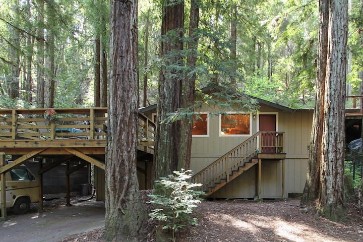 Country Comfort In Redwood Forest - Jenner, CA