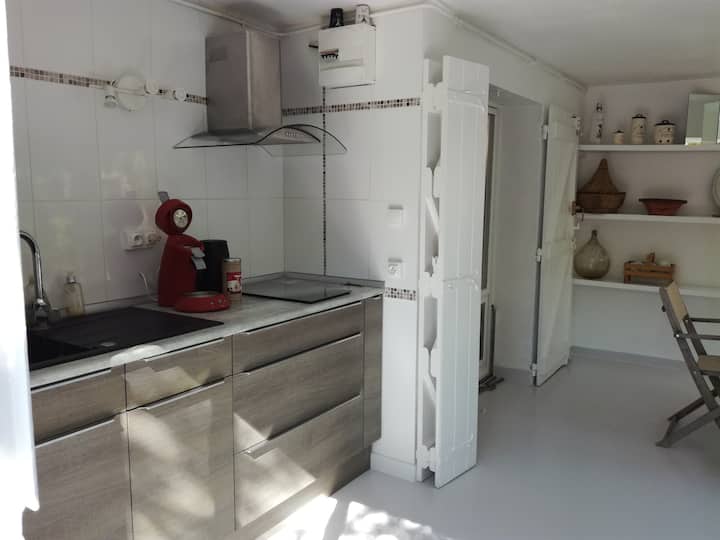 T1  Lumineux, 45m², Avec Jardin Méditerranéen - Castelnau-le-Lez