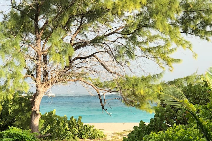 Shining Gem Close To West Coast - Clean Safe Home - Barbados