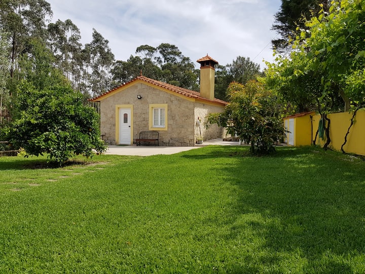 Casa Dos Cedros - Sever do Vouga