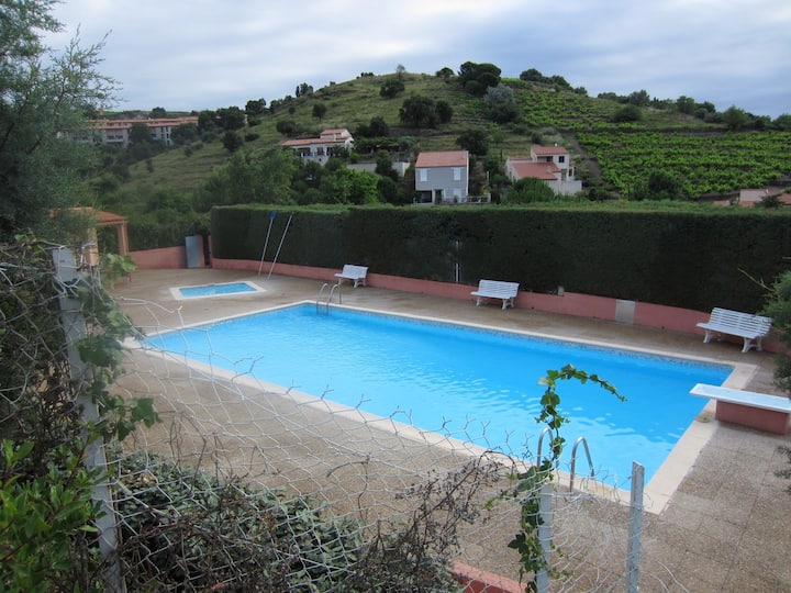 Appartement 2 A 6 Pers Terrasse Garage Piscine - Colliure