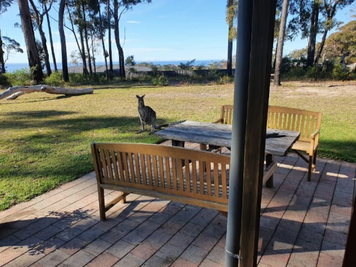 ***Bournda Beach Cottage*** - Merimbula