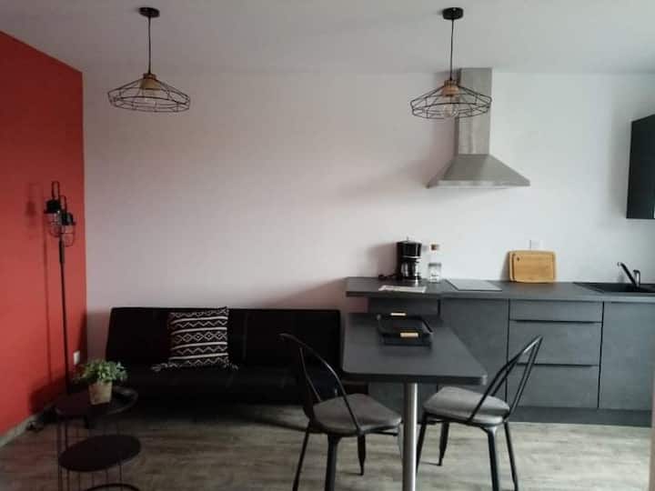 Appartement Sur Les Hauteurs D'urcuray - Hasparren