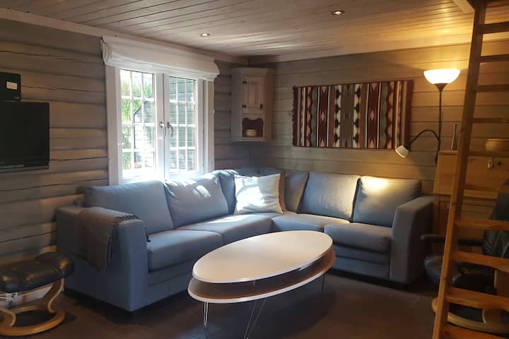 10 Best Ski-In Ski-Out Accommodations In Trysil Municipality, Norway - Updated 2024 | Trip101