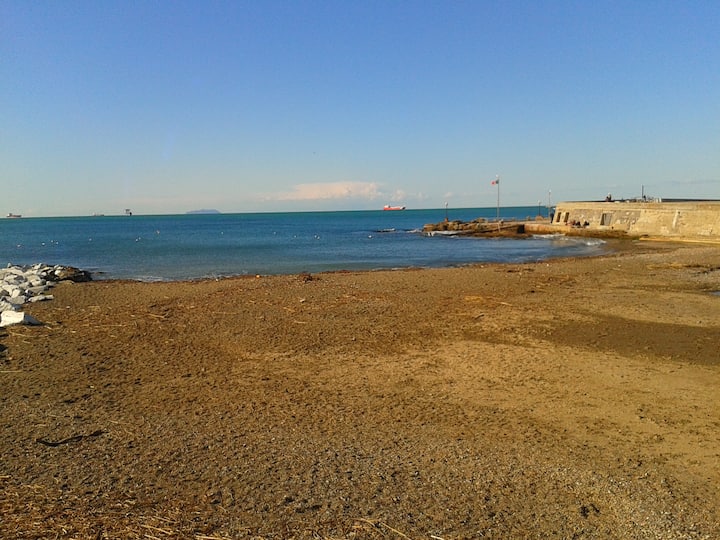 Grazioso Bilo A Due Passi Dal Mare - Livourne