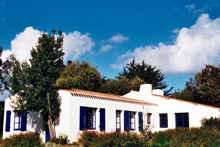 Maison à L'île D'yeu Pour 8 Personnes Sur 1400 M2 - L'Île-d'Yeu