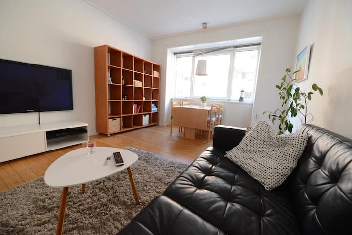 Comfy Apartment Near Center - Copenhague