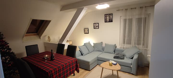 Au Sapin D'argent - Alsace