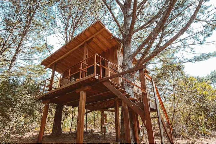Treehouse Ecolodge. Casa Del áRbol "Guazuvira" - Uruguay