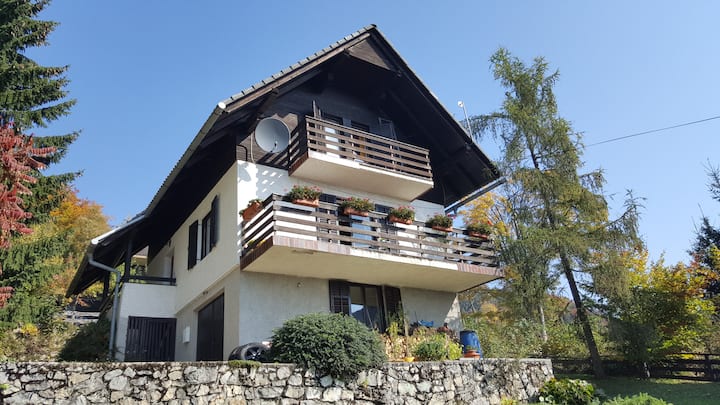 Friendly And Sunny "Eagle's Nest" - Kranj