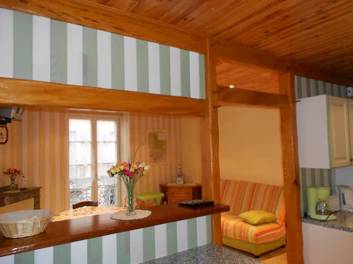 Loue Grand Appartement Au Centre De Cauterêts - Cauterets