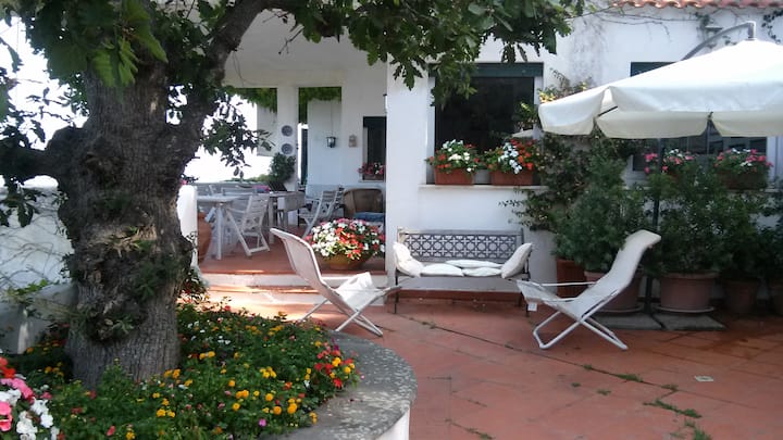 Casa "La Quercia" - Massa Lubrense