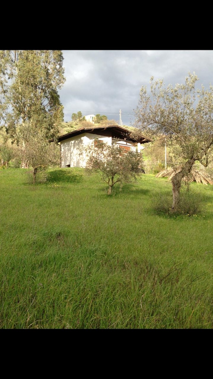 Casa Vacanze Panarello - Castelbuono