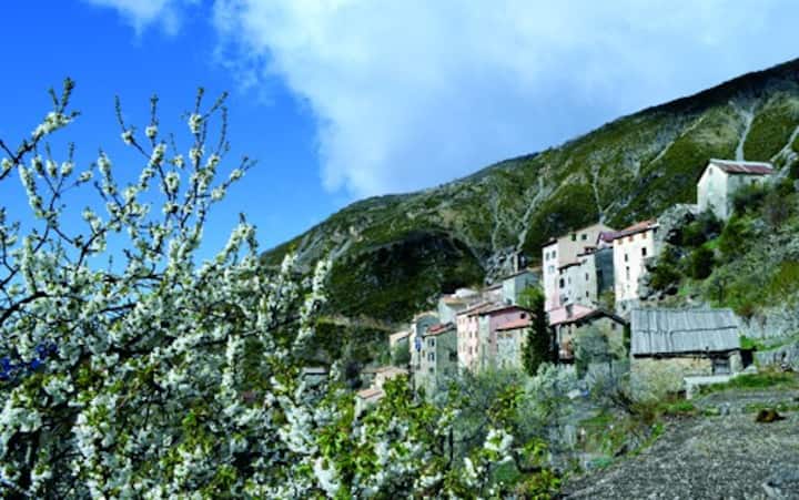 Chez Les Fleuristes - Roubion