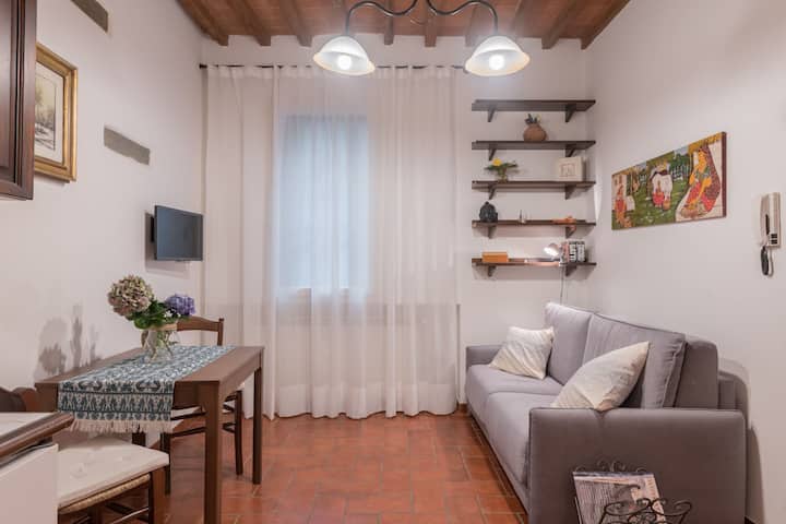 Il Nido Di Letizia Traditional Apartment - Florence