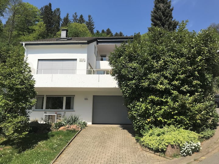 Luxuriöse 48m² Wohnung Stadtnah Im Grünen. - Heidelberg