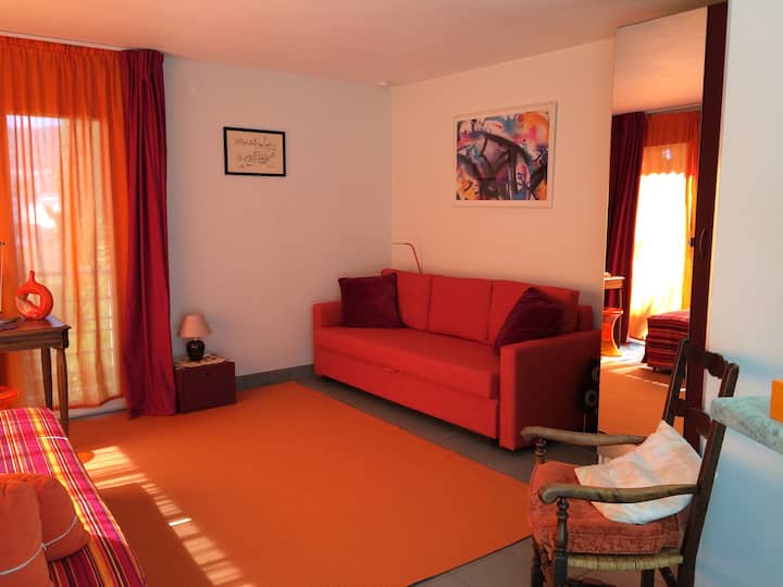 Grand Studio Indépendant Jardin Parking Sécurisé - Clermont-Ferrand