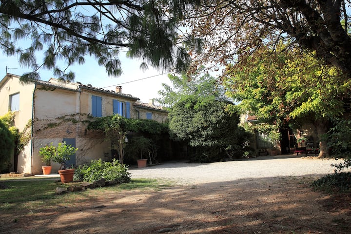 Saint Roch - Vaucluse