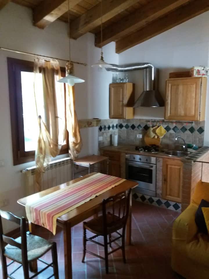 Residence Palladio - Rovigo