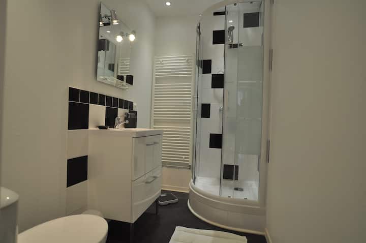Grand Appartement Lumineux Hypercentre - Tours