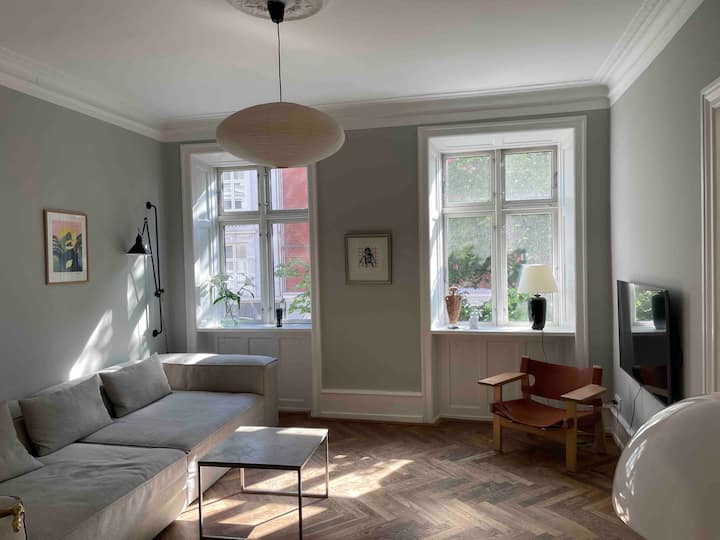 Beautiful Spacious Apartment In Central Copenhagen - Copenhaguen