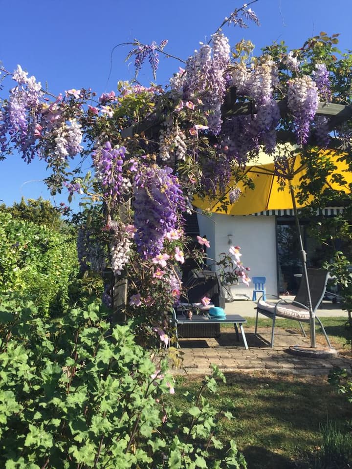 Maison Entière, Parkings Gratuits Et Deux Chats ! - Lake Annecy