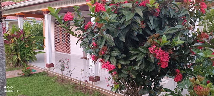Kazasol De La Verdure Aux Plages Du Grand Sud - Martinique