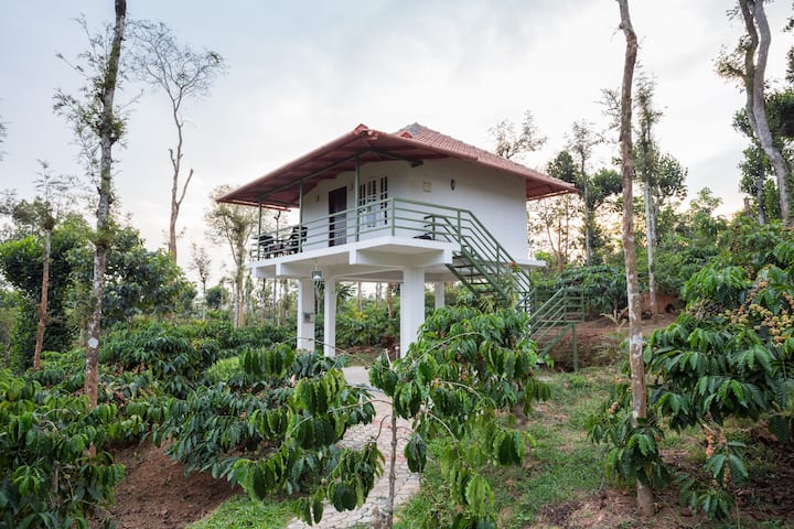 40 Best Places To Stay In Wayanad (2022) | Deals | Bookings | Prices