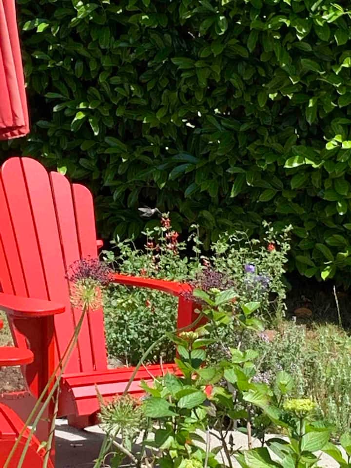 1 Bedroom Suite Just Steps To Sechelt And Beach - Sechelt