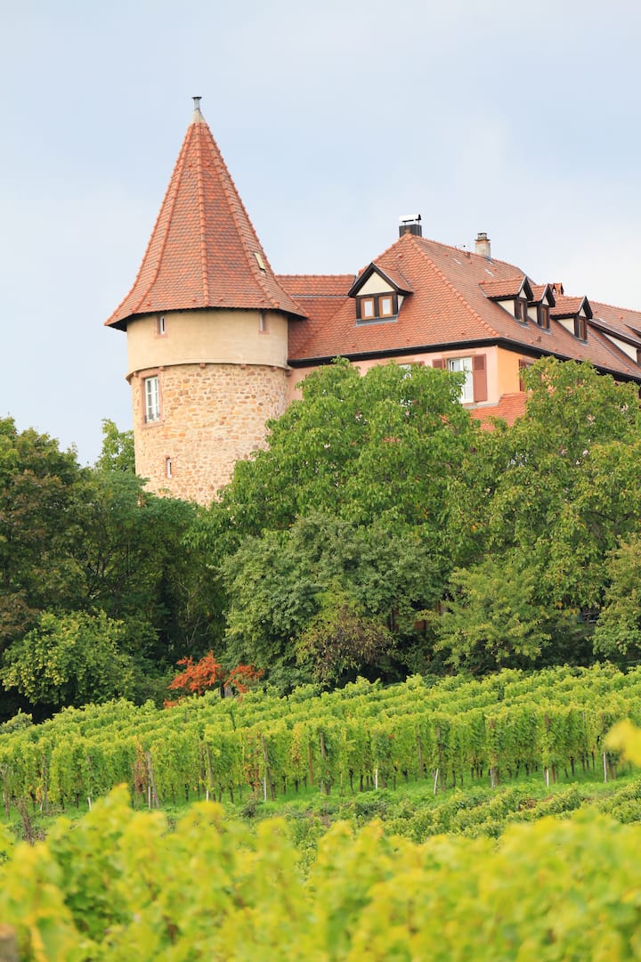 My Home Is Your Home - Ribeauvillé