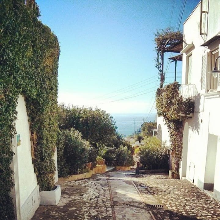 Casetta “Caprile” - Capri