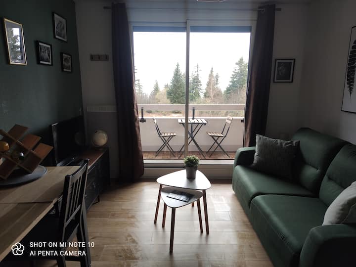 Bel Appartement à La Déco Cosy - Chamrousse