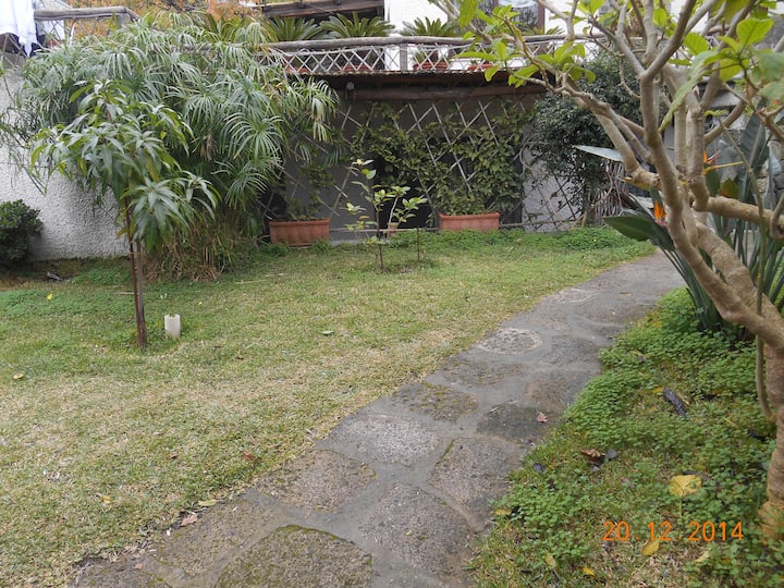 In The Countryside, Near The Sea. - Forio