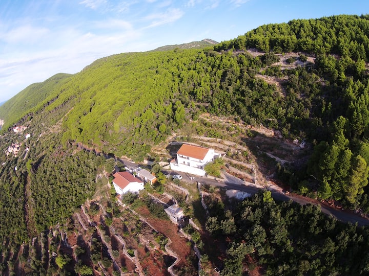 Apartment Joseph Mljet #1 Relax Insight - Mljet