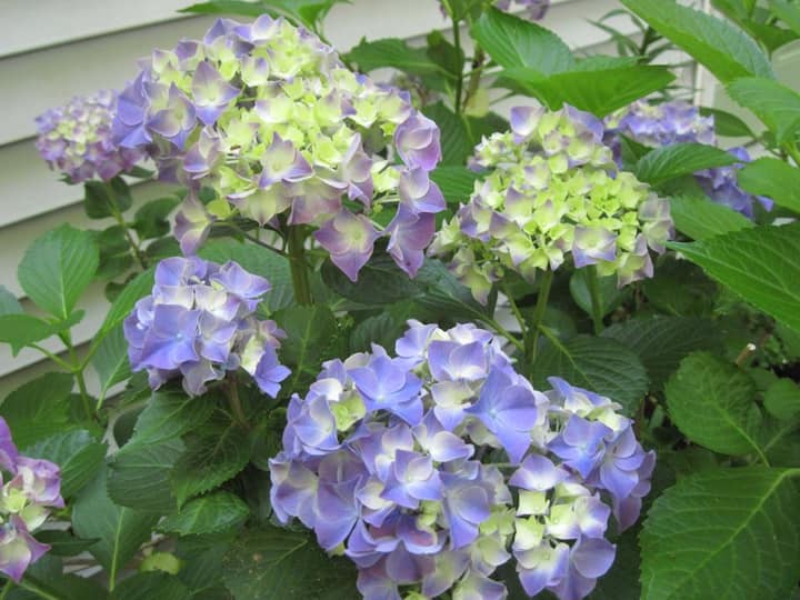 Quiet, Little Bayside Road! - Falmouth, MA