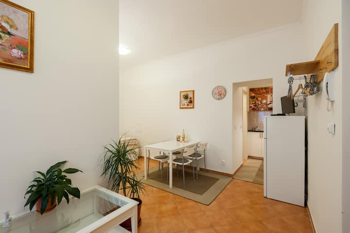 The Garden View Flat In The Center Of Prague - Prague