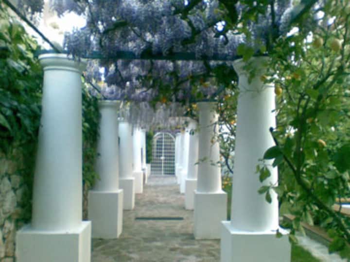Villa Di Capri - Capri