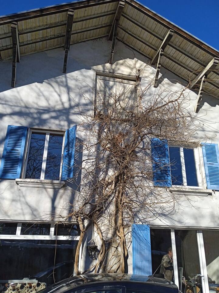 Chambre Au Calme à Sinard - Treffort